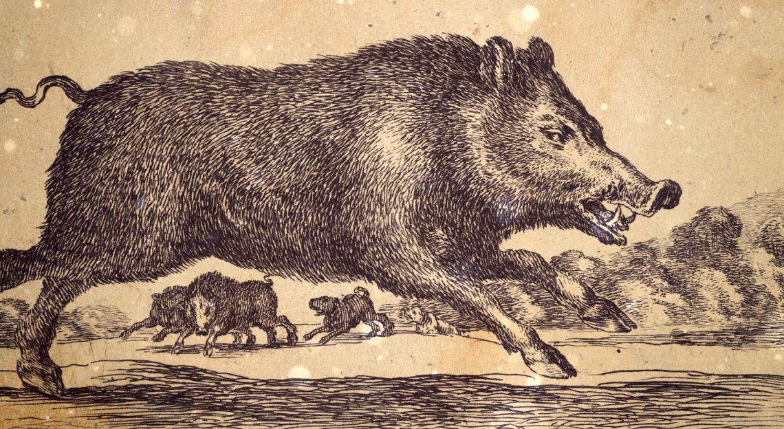 S3E16 - The Bradford Boar with Chris Cantrill - Loremen Podcast