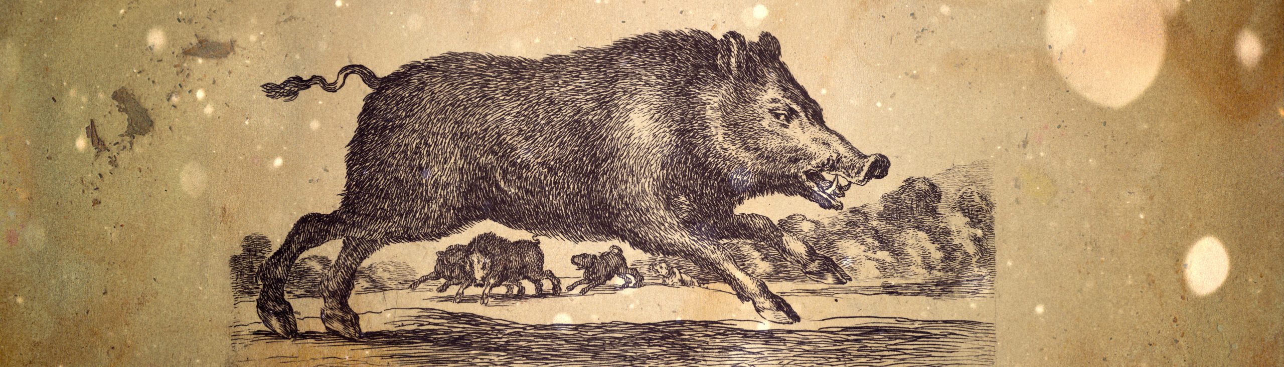 S3E16 - The Bradford Boar with Chris Cantrill - Loremen Podcast