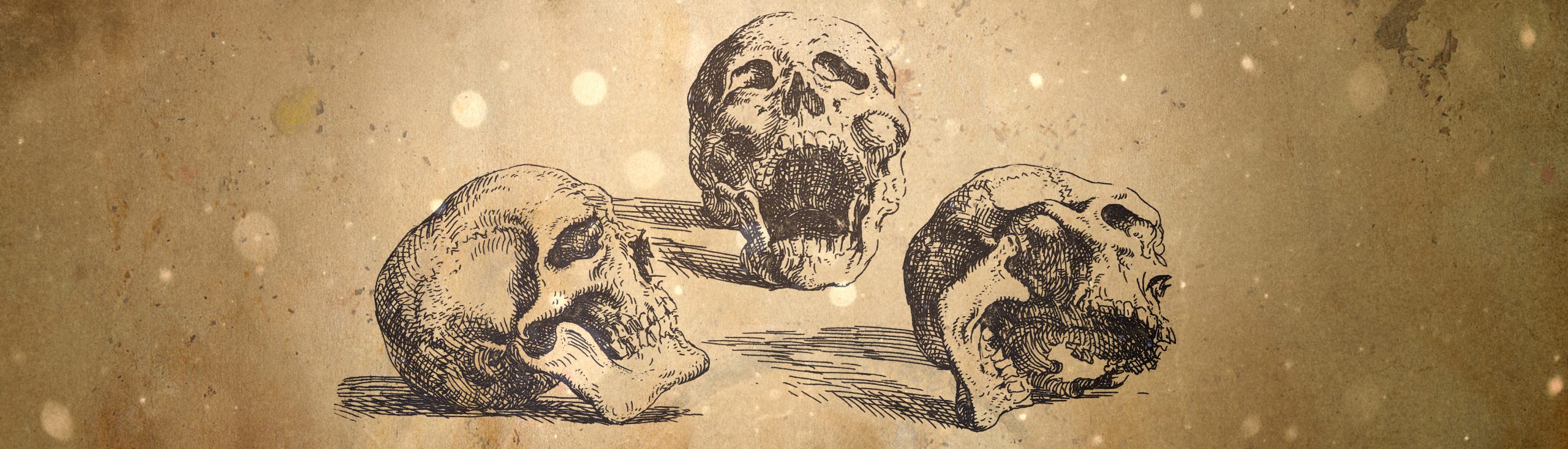 S3E49 - The Legend of Sawney Bean - Loremen Podcast