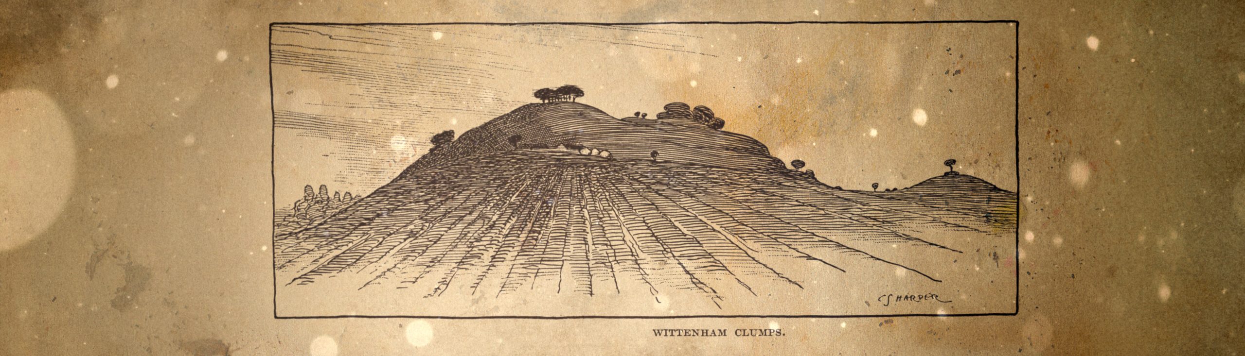 S3E89 - The Wittenham Clumps - Loremen Podcast