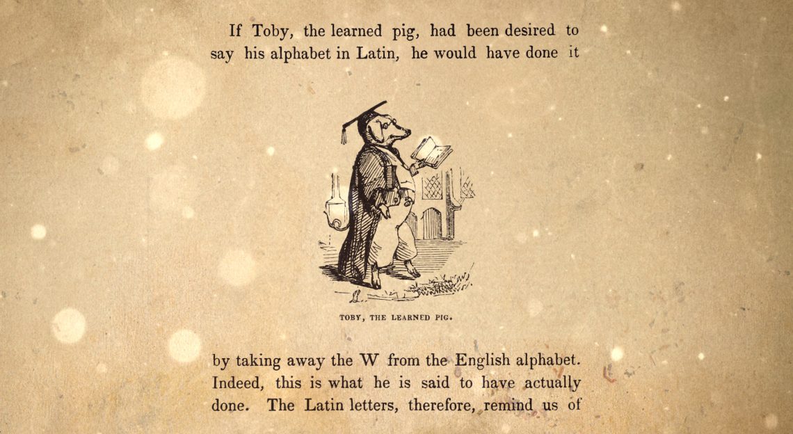 S5E18 - Toby the Sapient Pig - Loremen Podcast