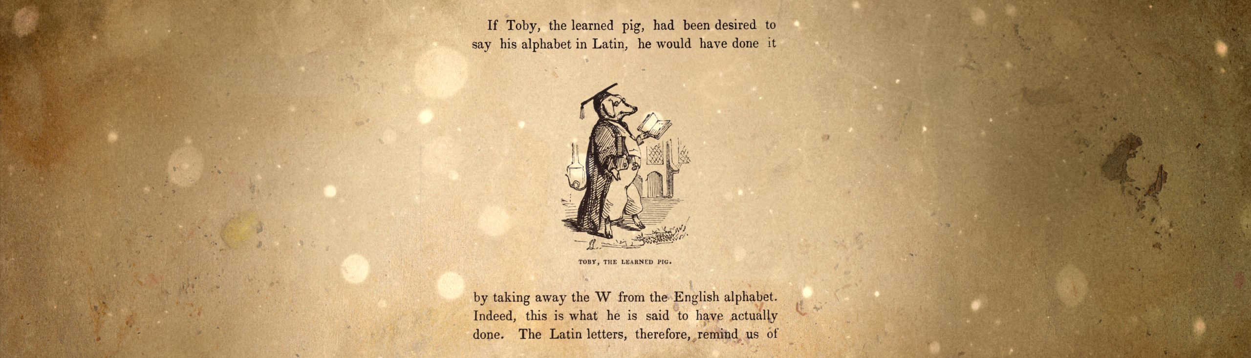 S5E18 - Toby the Sapient Pig - Loremen Podcast